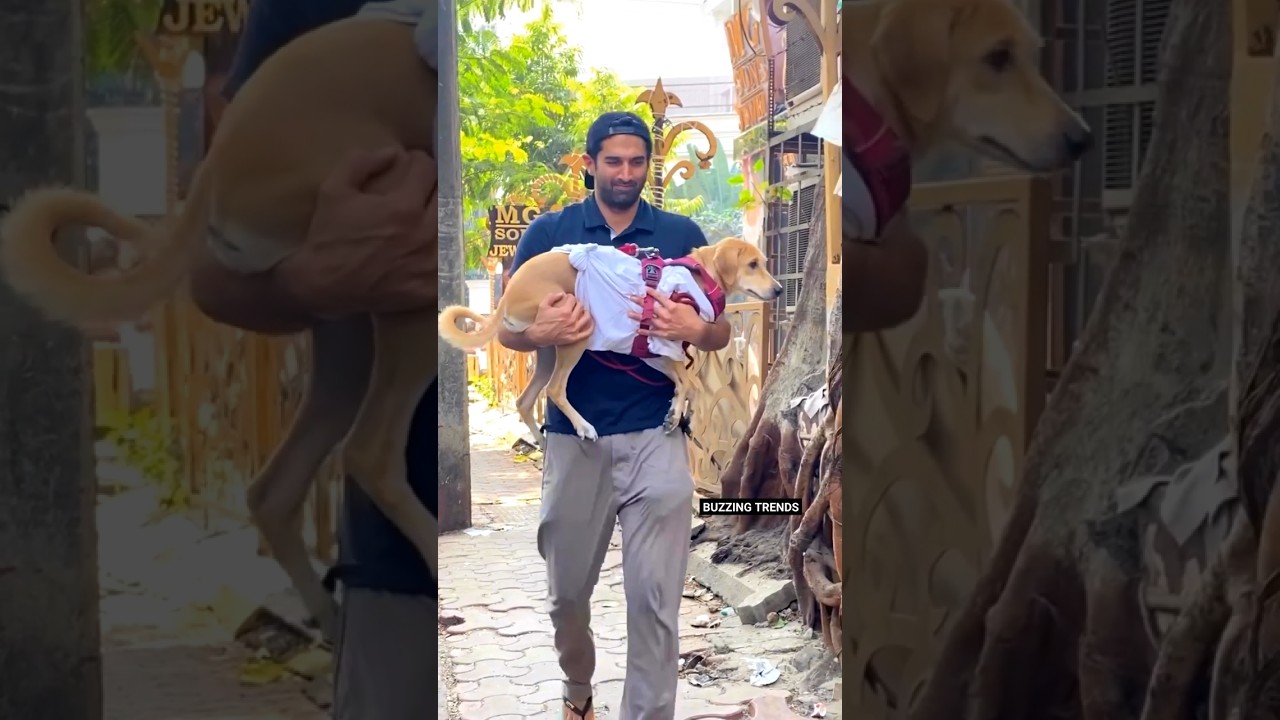 Aditya Roy Kapoor with His Dog 🐕 - YouTube
