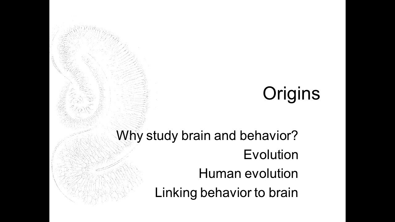 Chapter 1 Origins - YouTube