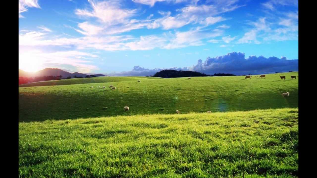 Overgrazing- a growing problem - YouTube