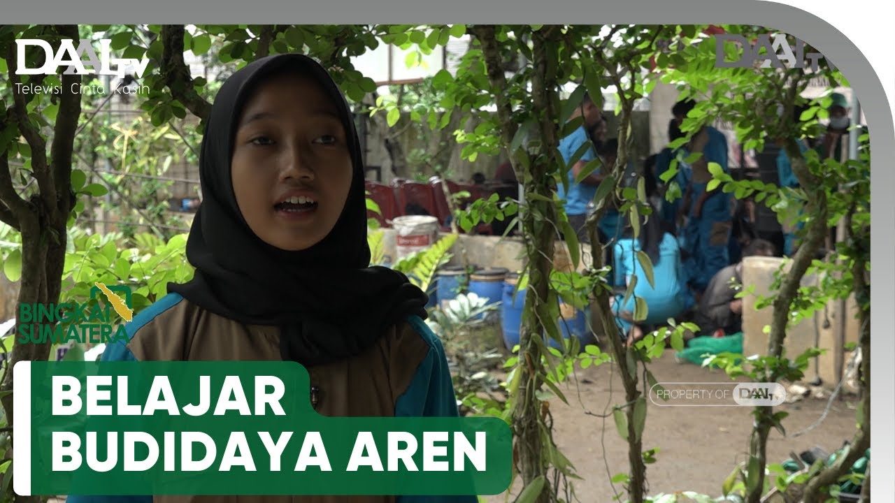 Belajar Budidaya Aren | Bingkai Sumatera - YouTube