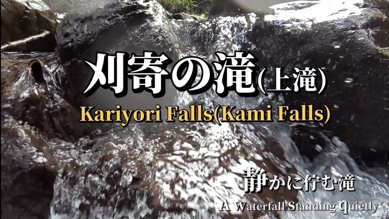 森の中にひっそり佇む刈寄の滝(上滝)【東京都あきる野市】Kariyori Falls(Kami Falls)/Waterfall in ...