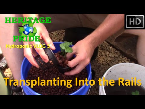 Hydroponic Rail System Build - VLOG 5 by HPFirearms - YouTube