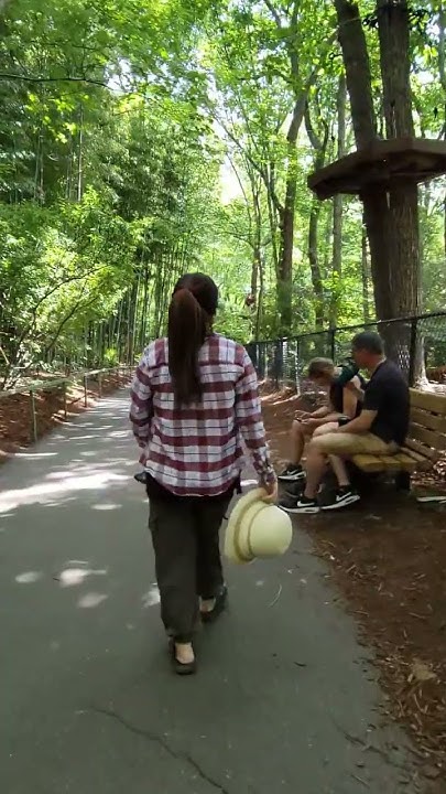 Walking at the zoo - YouTube