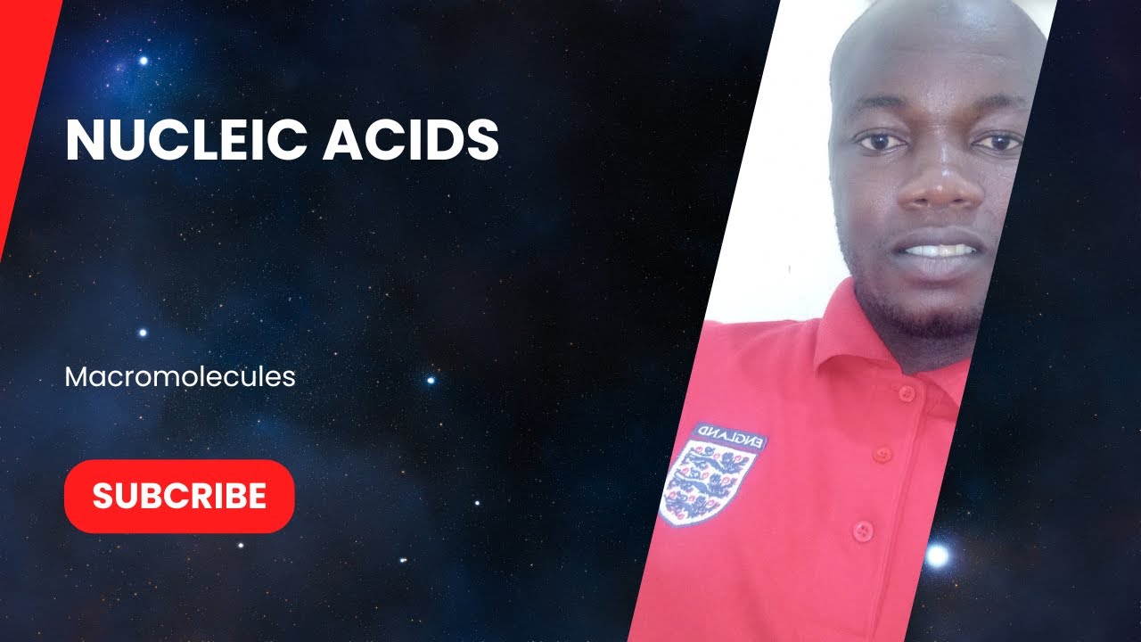 Introduction to Nucleic Acids |DNA | RNA | Nucleotides - YouTube