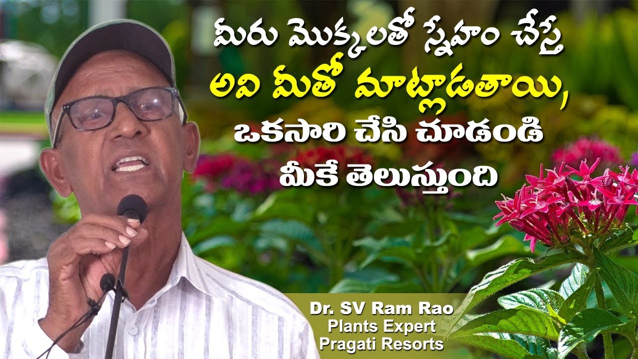 మీరు మొక్కలతో స్నేహం చేస్తే, అవి మీతో మాట్లాడతాయి, ఒకసారి ట్రై చేసి ...