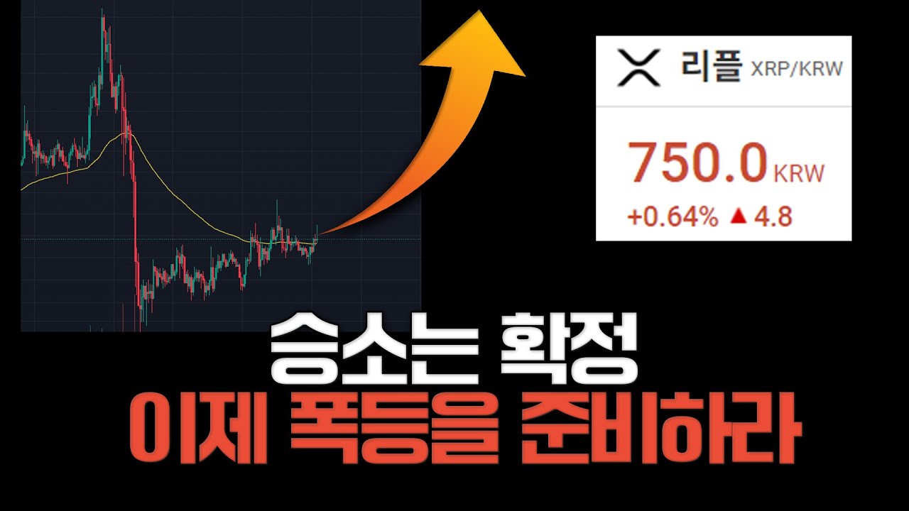 리플 Xrp 승소는 확정 이제 폭등을 준비하라리플 리플분석 Sec 리플승소 리플차트 코인시황 코인분석 Youtube