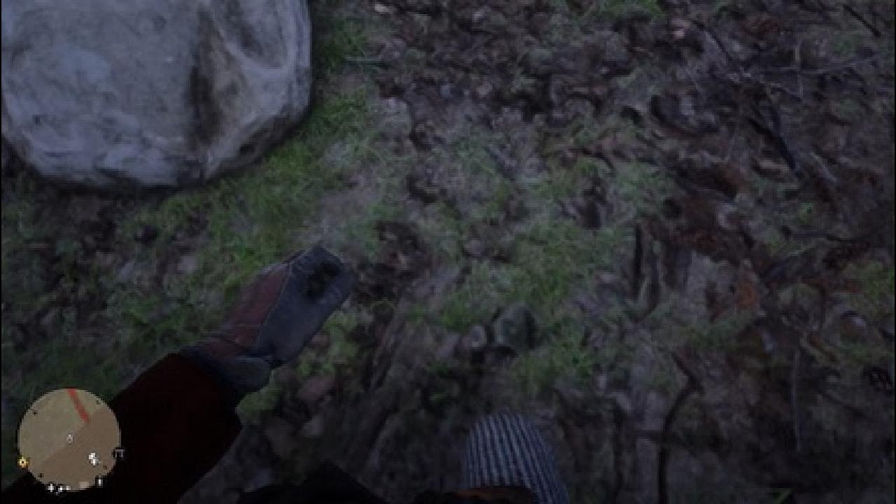 Rdr2 How get chicken feather easy - YouTube