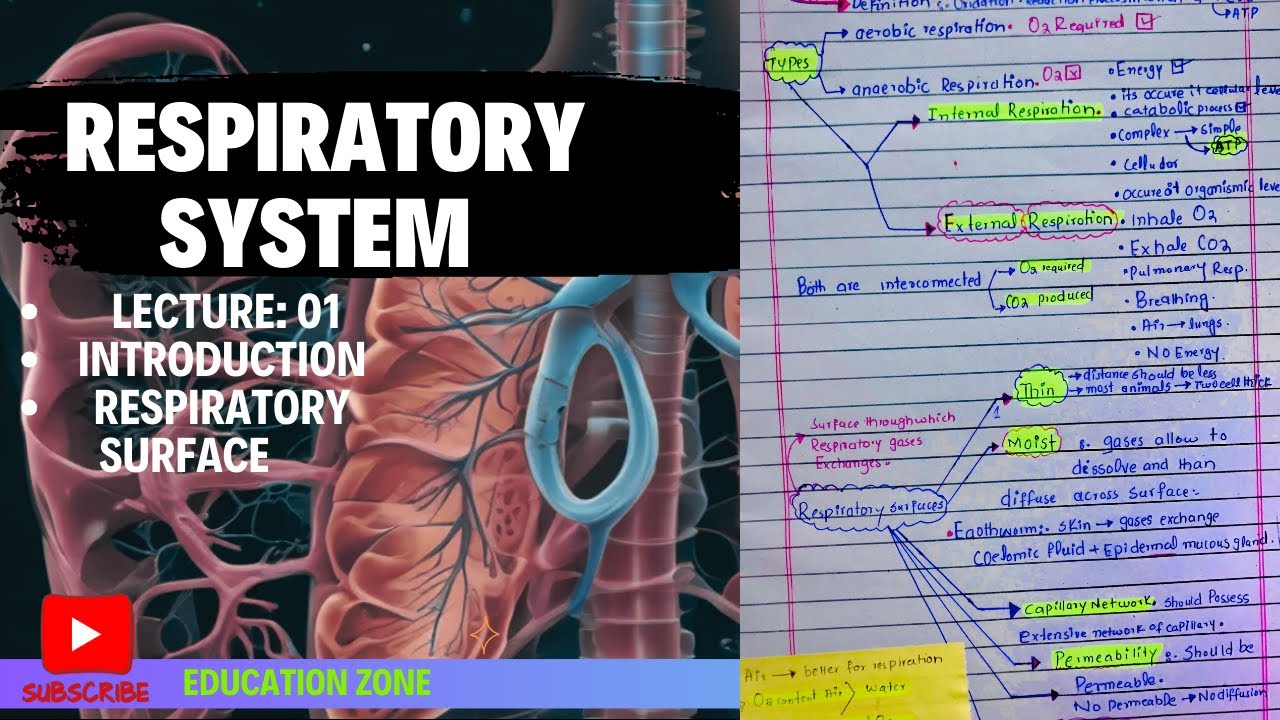 Respiratory system | respiratory surfaces| Biology Chapter Class #12th ...