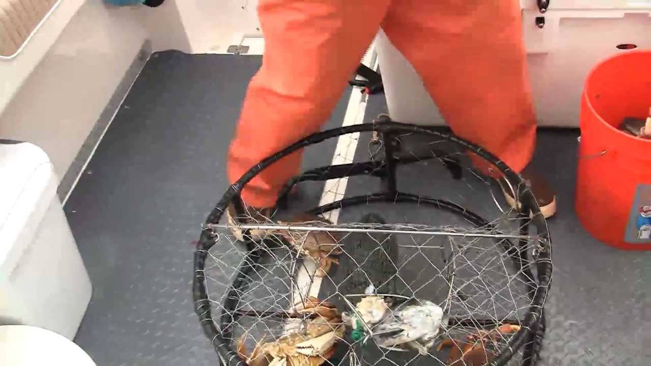 Pulling crab pots at Depoe Bay, Oregon - Part 2 - YouTube
