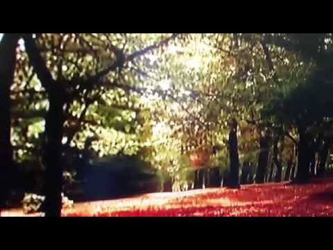 ANLATAMIYORUM Müthiş Mine Geçili şarkısıyla ...