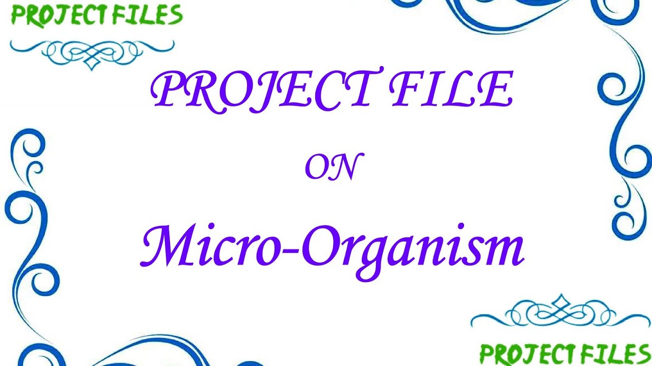 Project File on Microorganisms @microorganisms - YouTube