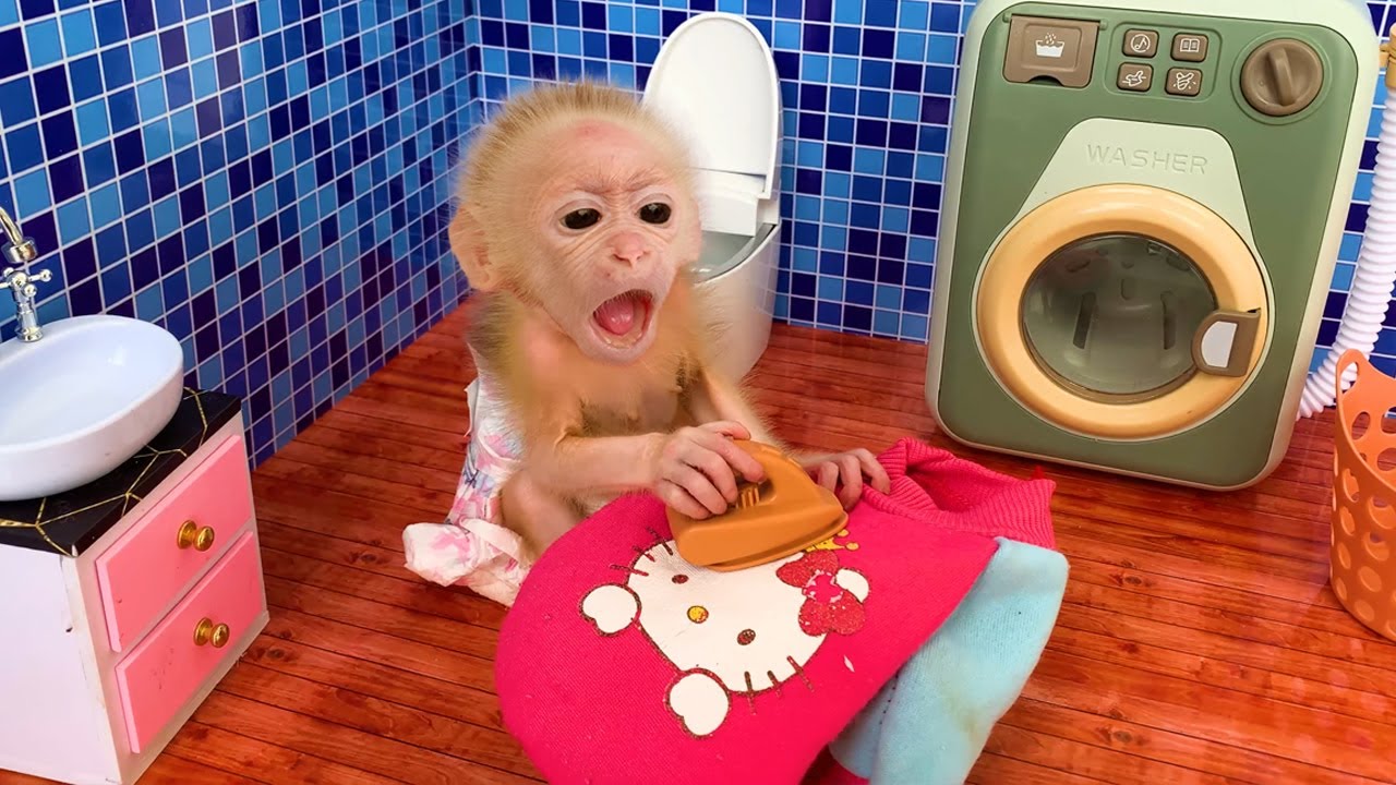 Baby monkey Bu Bu goes to do the laundry and playing with the puppy ...
