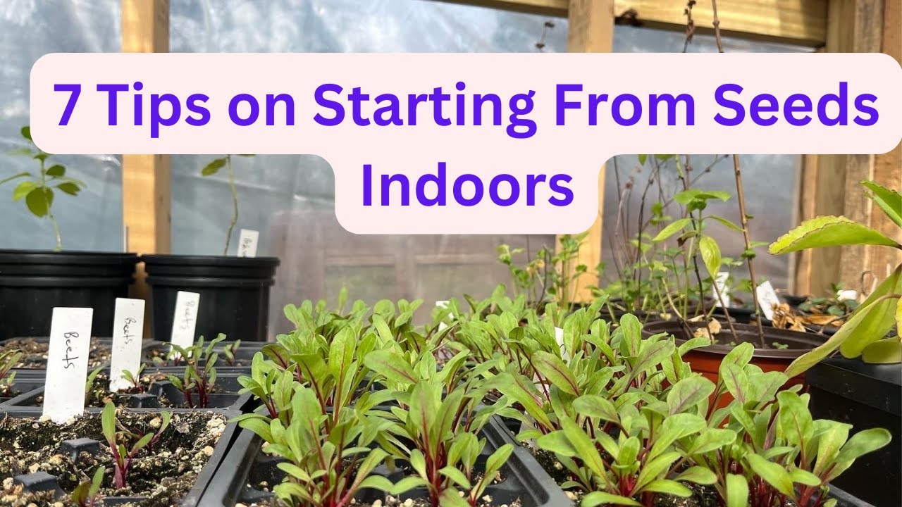 Seven Tips On Starting Crops From Seeds - YouTube