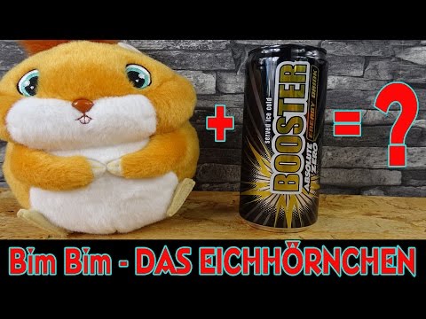 BIM BIM - DAS VERRÜCKTE EICHHÖRNCHEN (Eichhörnchen + Energydrink = ?)