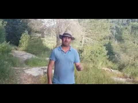 Moshe Gold Describes his Jerusalem Tour - YouTube