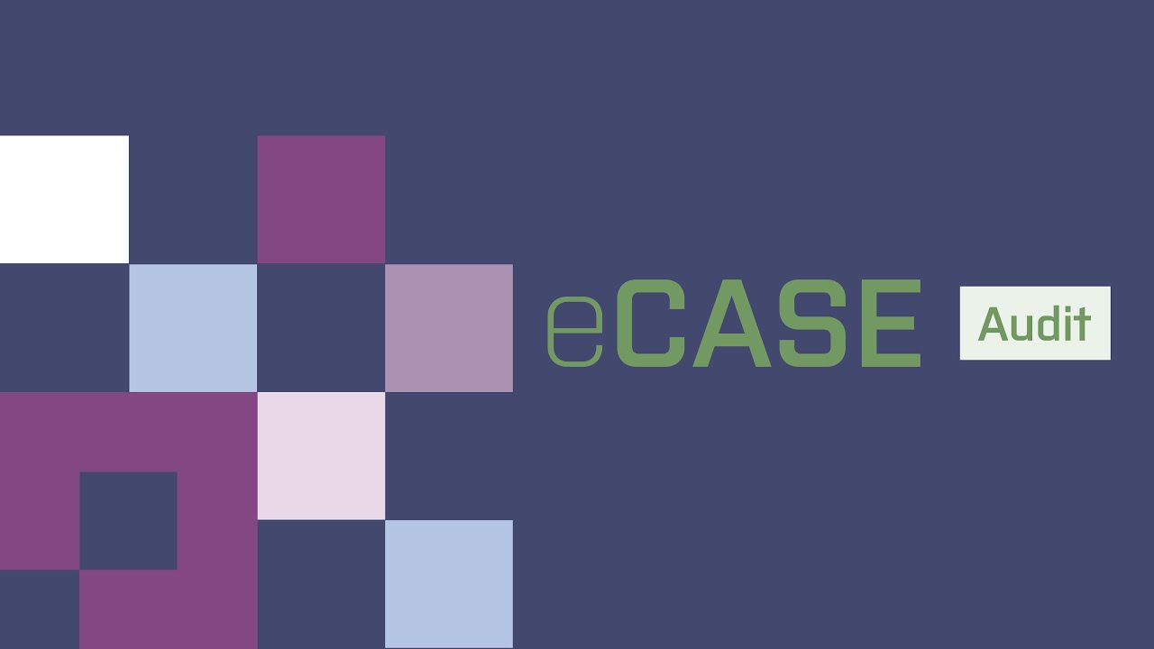 eCASE Audit - YouTube