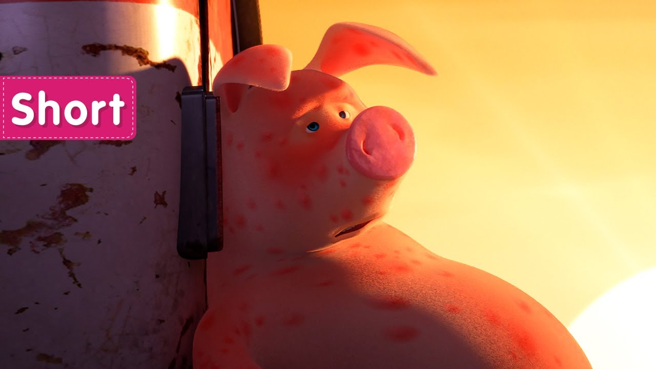 Masha and the Bear – 👶🐷 NEW KIDS ON THE BLOCK! 🐷👶 (Rosie and the car 🚗 ...