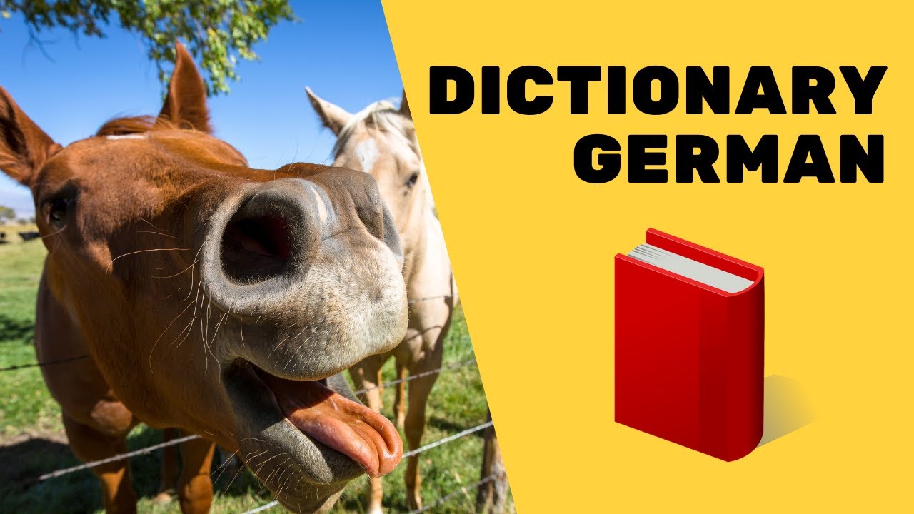 WÖRTERBUCH DEUTSCH: Tier ⭐⭐⭐⭐⭐ - YouTube