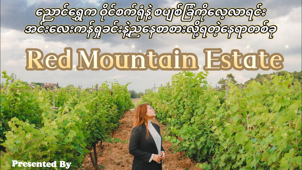 Wine Factory and Vineyard in Nyaung Shwe , Myanmar ...