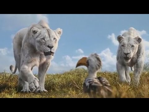 Mufasa The Lion King [2024] Akura & Amara Screen Time