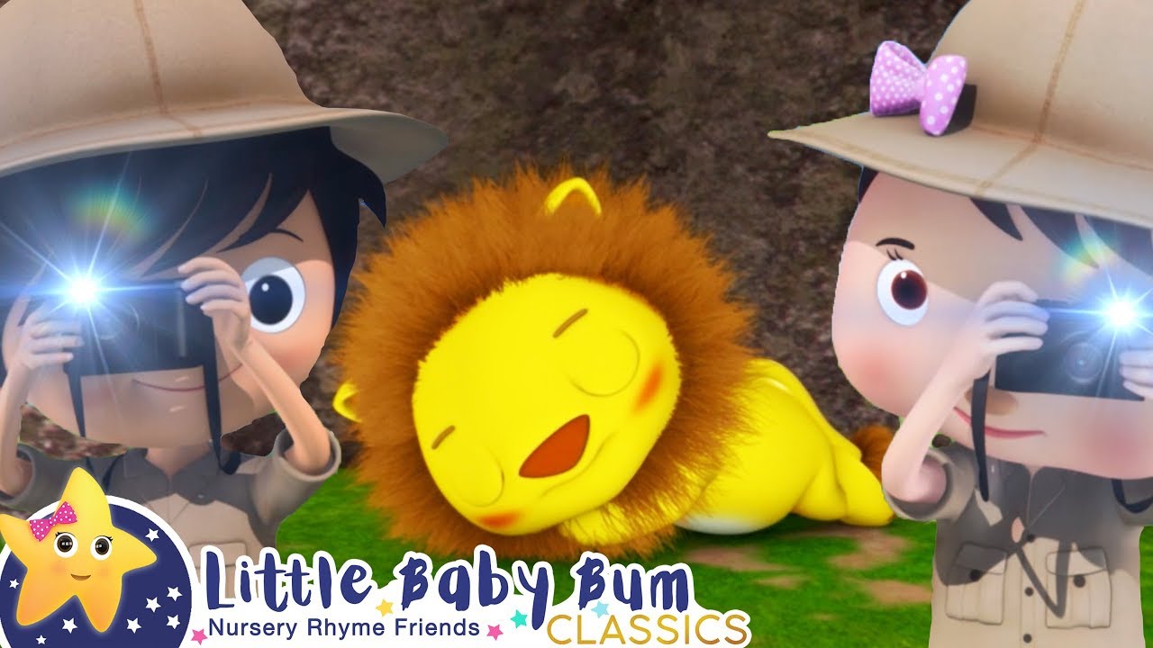 Going On A Lion Photo Hunt! | Little Baby Bum Animal Club | Fun Songs ...