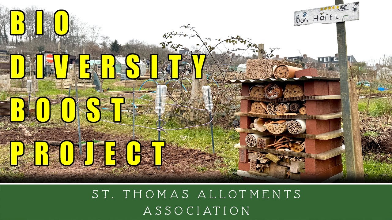 Introduction To Bio-Diversity Boost | St. Thomas Allotments Association ...