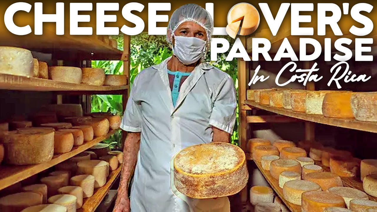 Bridging Cultures with Cheese 🧀🌴Costa Rica - YouTube