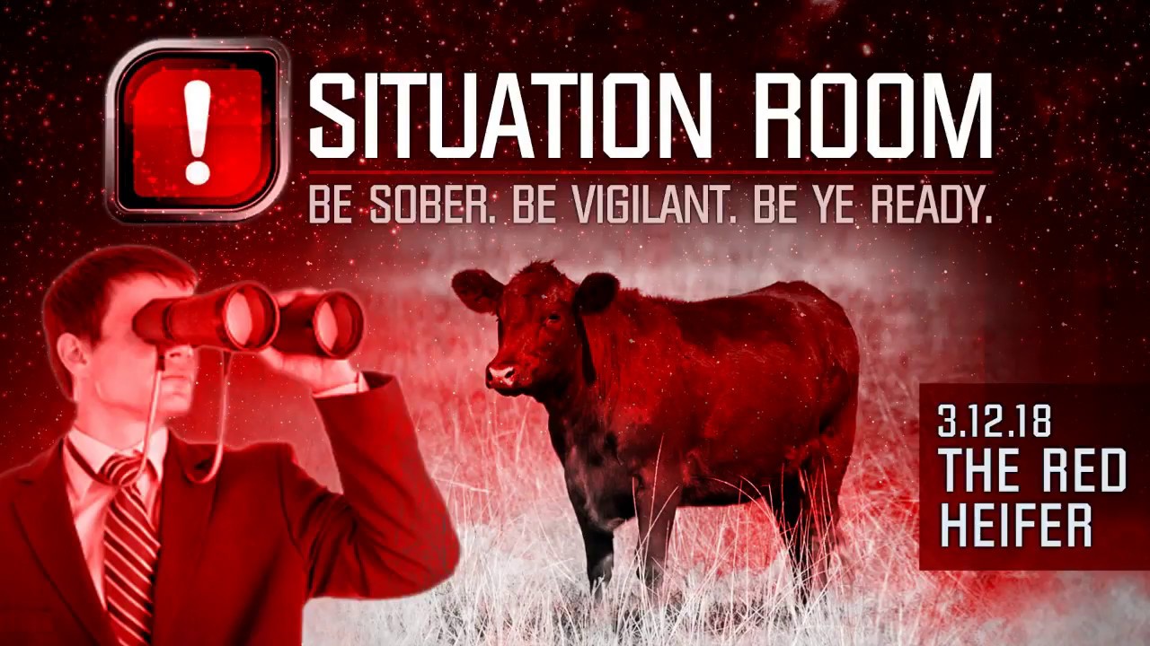 The Red Heifer - YouTube