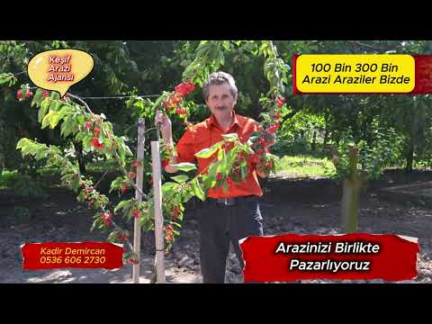 Çeşmealtı Köyü Biga Çanakkale Satılık Tarla Bahçe Arsa Köy Evi - Keşif Arazi Ajansı 05366062730