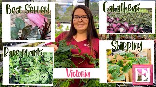 Walk Through with Victoria at Excelsa Gardens!