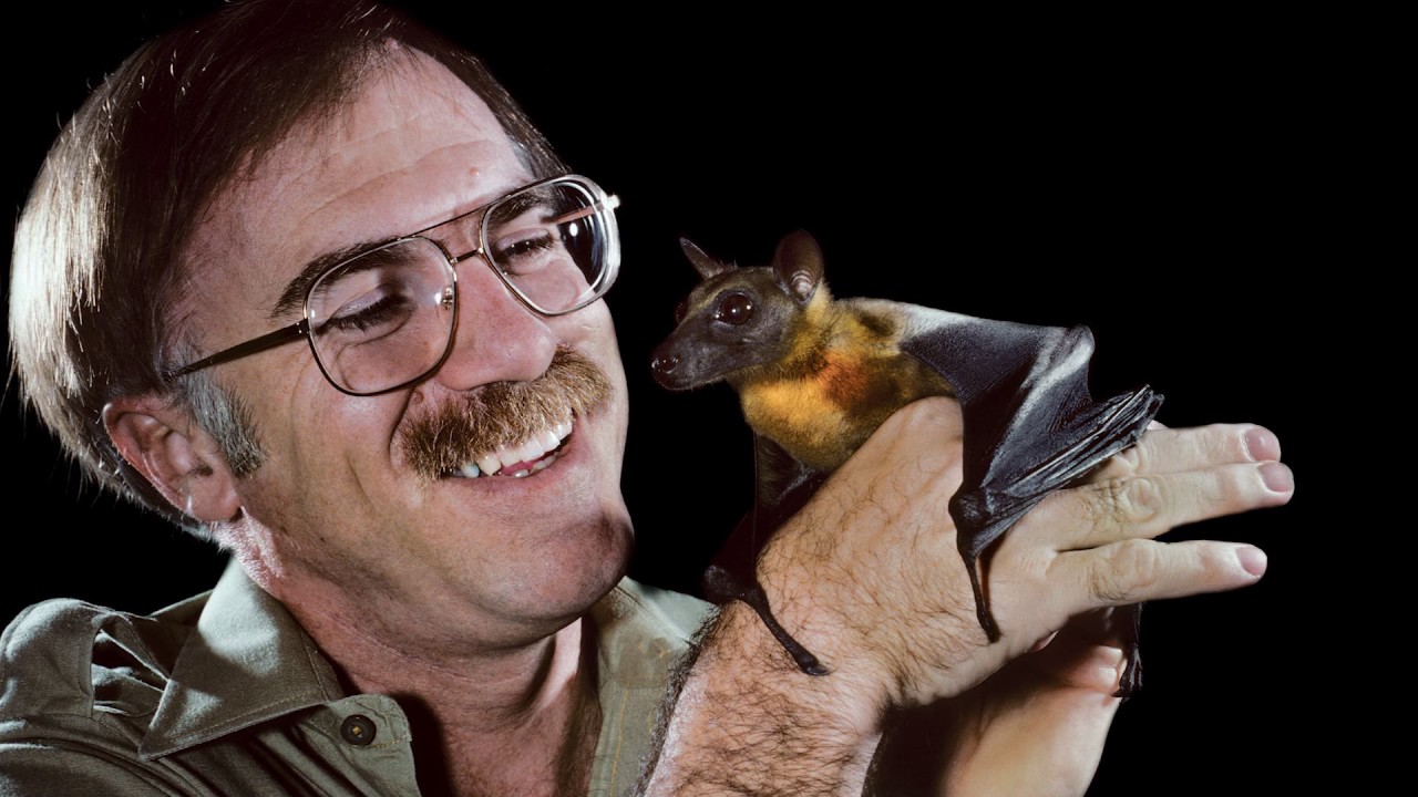 Citizen Scientists: In Search of Bats - YouTube