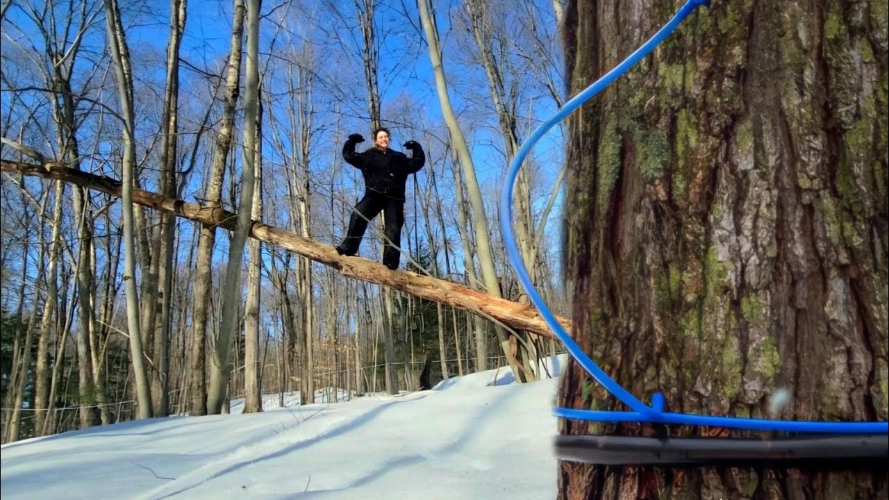 Making maple syrup at home! - YouTube