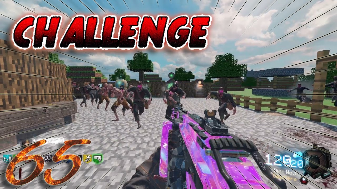 "MINECRAFT" One Window Challenge - Call Of Duty : Black Ops 3 - YouTube