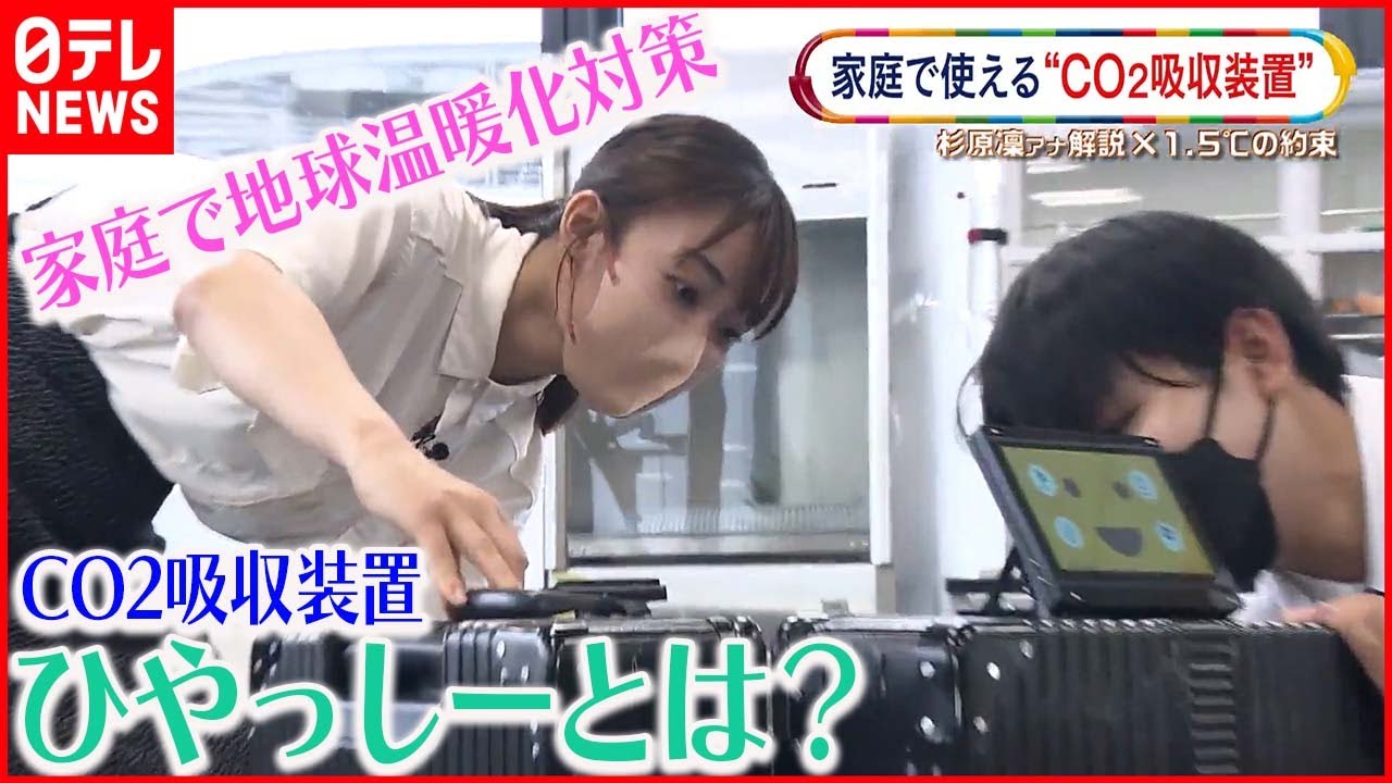 【地球温暖化対策】家に置くだけ！？ CO2吸収装置“ひやっしー”とは？ - YouTube