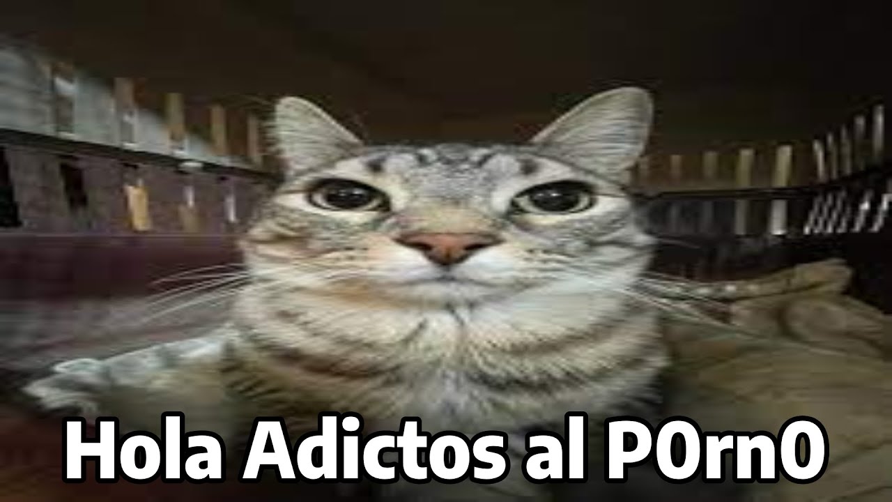 Shitposting Compilation Ep74 | Shitpost en Español - YouTube