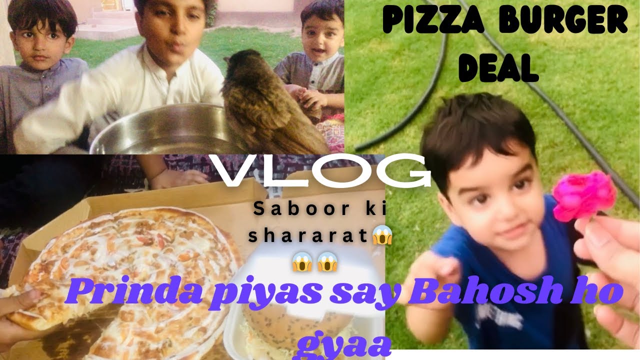 Piyasa parinda gir ky bahosh ho gya😢||garmi bhut hai||prindo ky liya ...