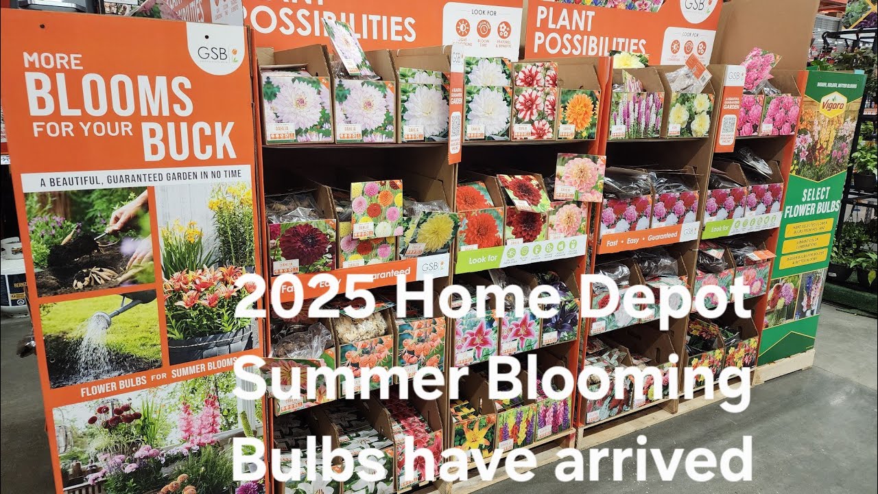 Home Depot strikes first with Summer blooming bulbs for the 2025 season ...