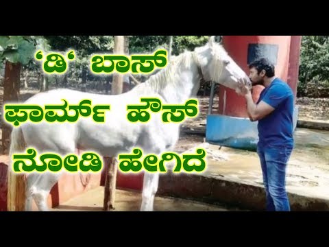 INSIDE D BOSS CHALLENGING STAR DARSHAN'S FARM HOUSE ವಿಶ್ವವಾಹಿನಿ ನ್ಯೂಸ್ ...