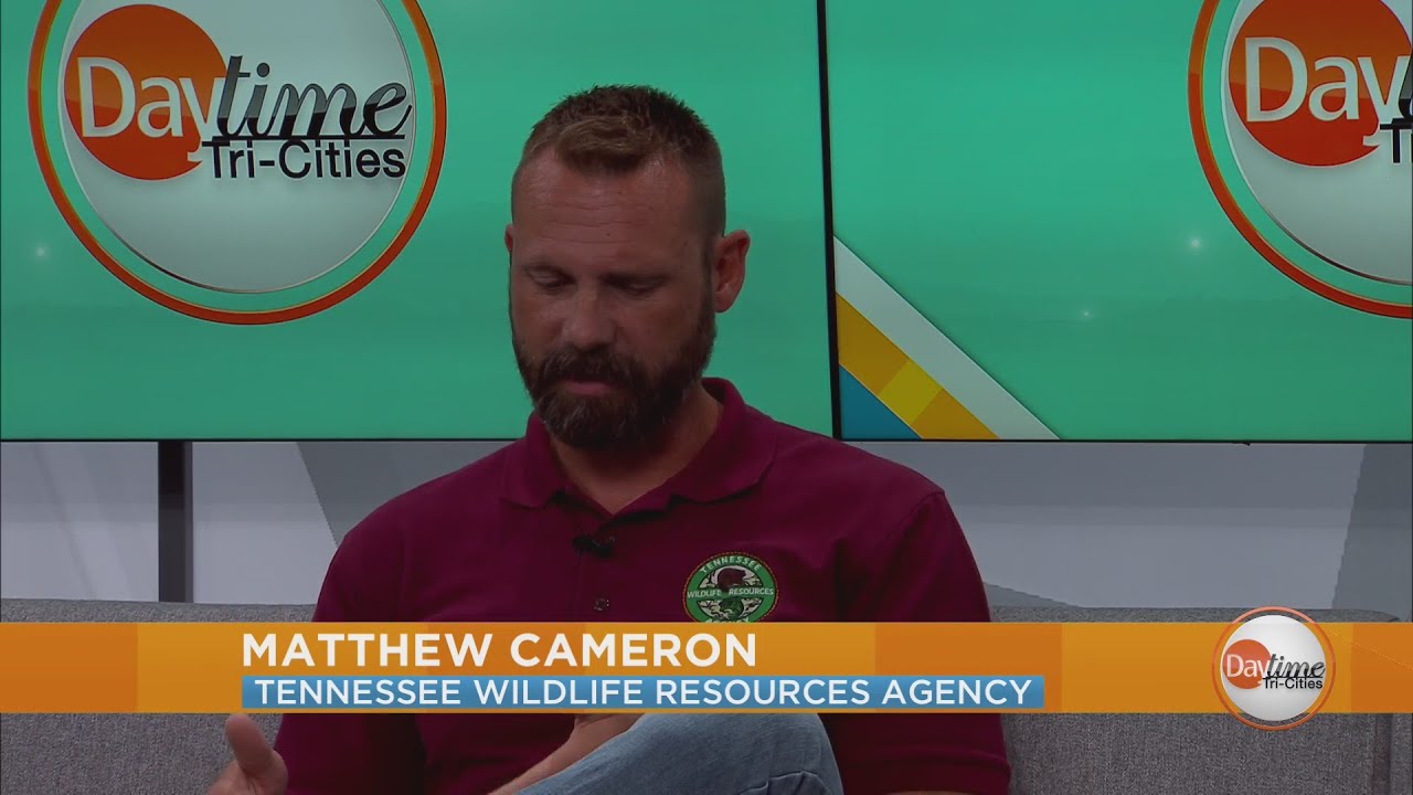 Outdoors this Fall with TWRA's Matt Cameron - YouTube