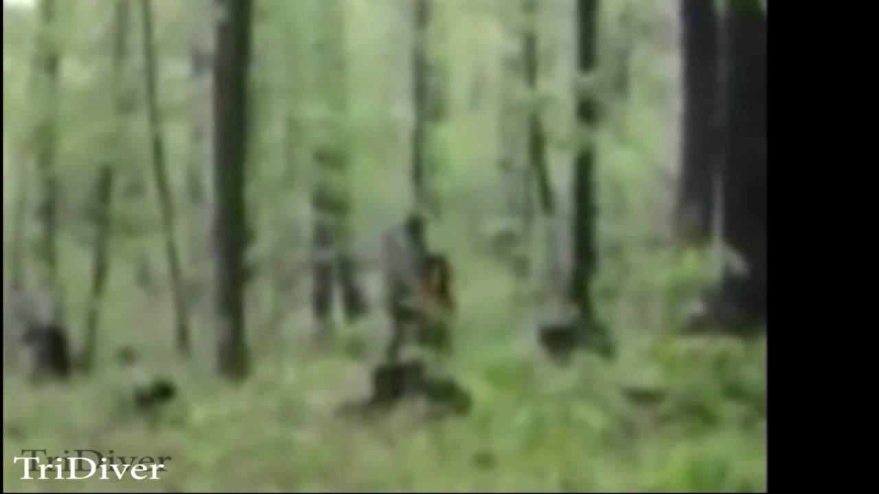 Bigfoot sighting while turkey hunting: Breakdown - YouTube