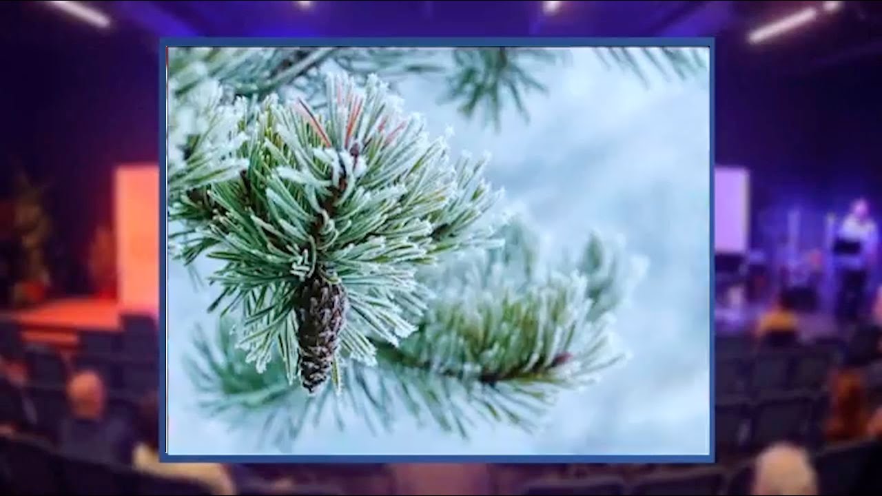 01/05/25 Live Stream – Principles of Unity Pt. 2 - YouTube