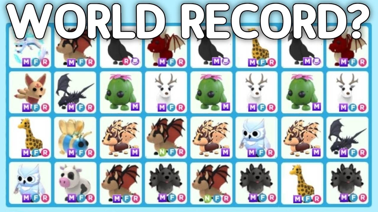 Adopt Me Pets Showcase-all 20 Adopt Me Pets-youtube Home Page