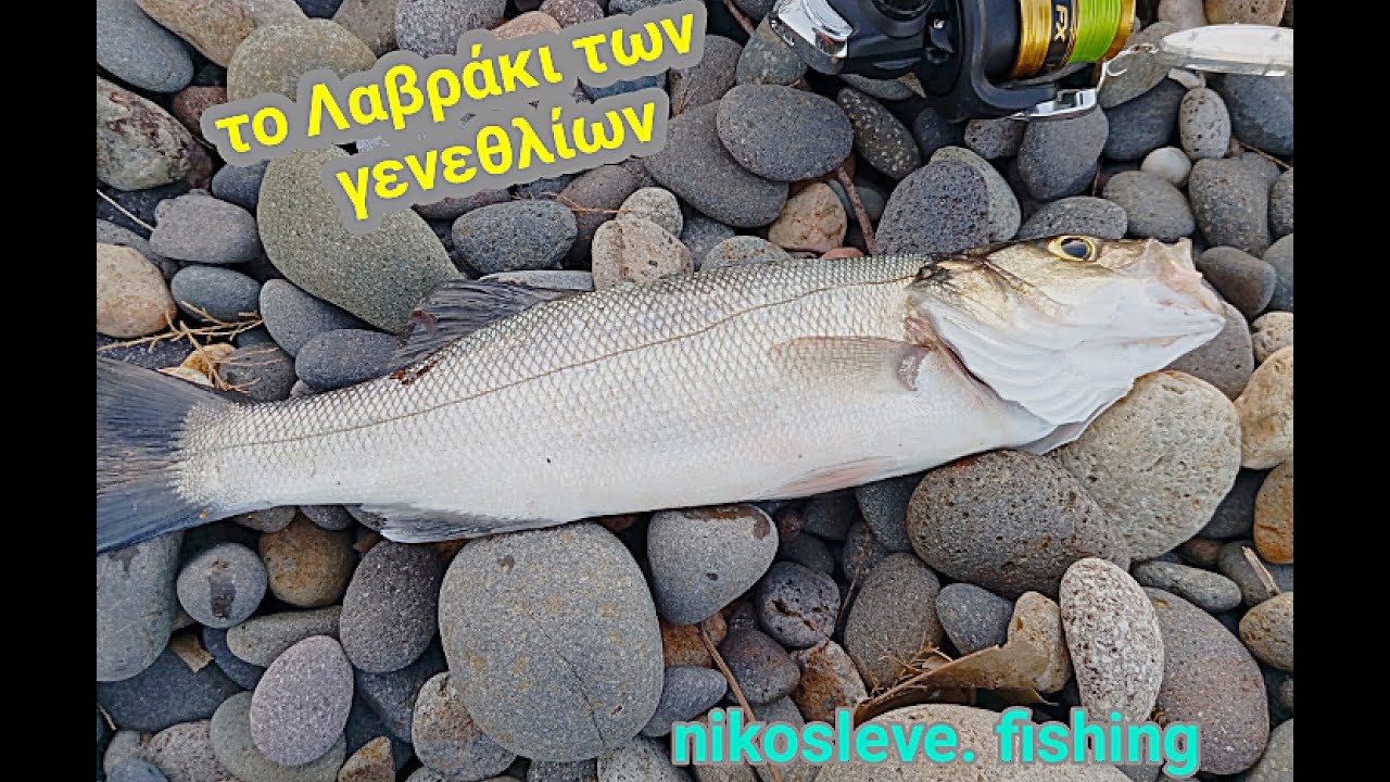 Ψάρεμα - Το Λαβράκι των Γενεθλίων - YouTube