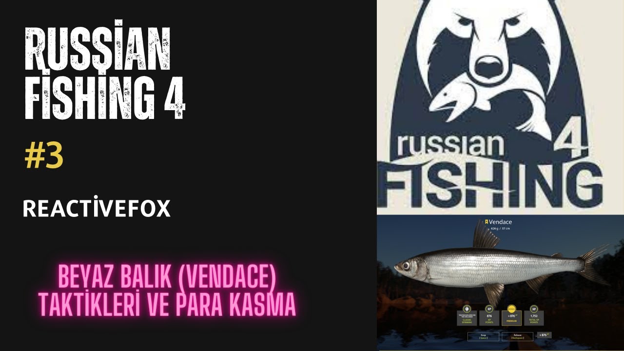 |RF4 KOLAY PARA KASMA | KUORİ GÖLÜ BEYAZ BALIKLARI (VENDACE) |RUSSİAN ...