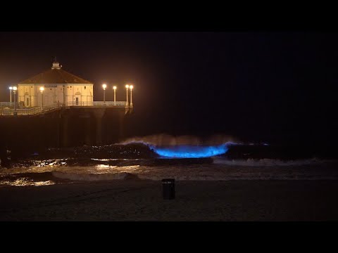 Bioluminescence / Red Tide in Southern California (Unedited RAW footage ...