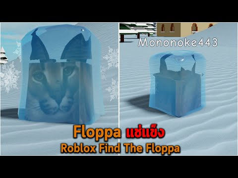 Floppa แช่แข็ง Roblox Find The Floppa - YouTube