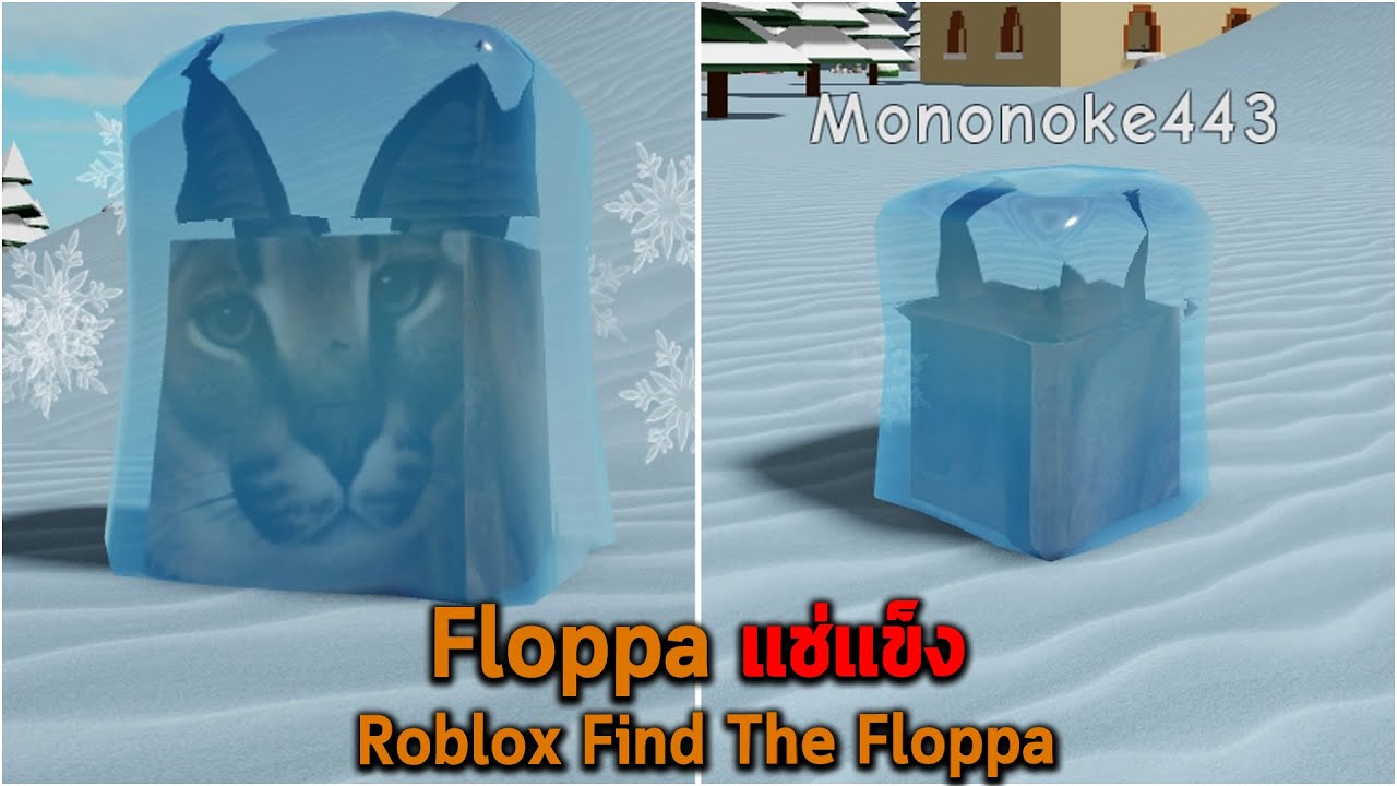 Floppa แช่แข็ง Roblox Find The Floppa - YouTube