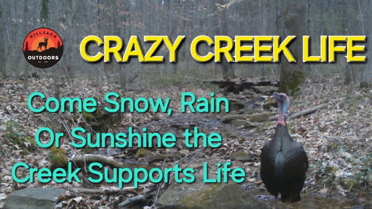 CRAZY CREEK LIFE: Come Rain, Snow or Sunshine The Creek Supports ...