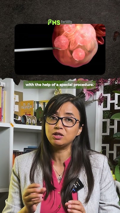 IVF কী ? | Dr. Prajnanika Gurung | PHS - YouTube