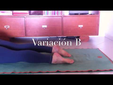 Transicion Chaturanga-Upward-FacingDog/Downward Dog con Claudia Borges Yoga